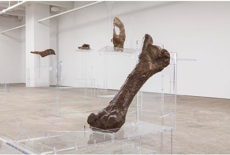 Allora & Calzadilla - The Fabric Workshop and Museum